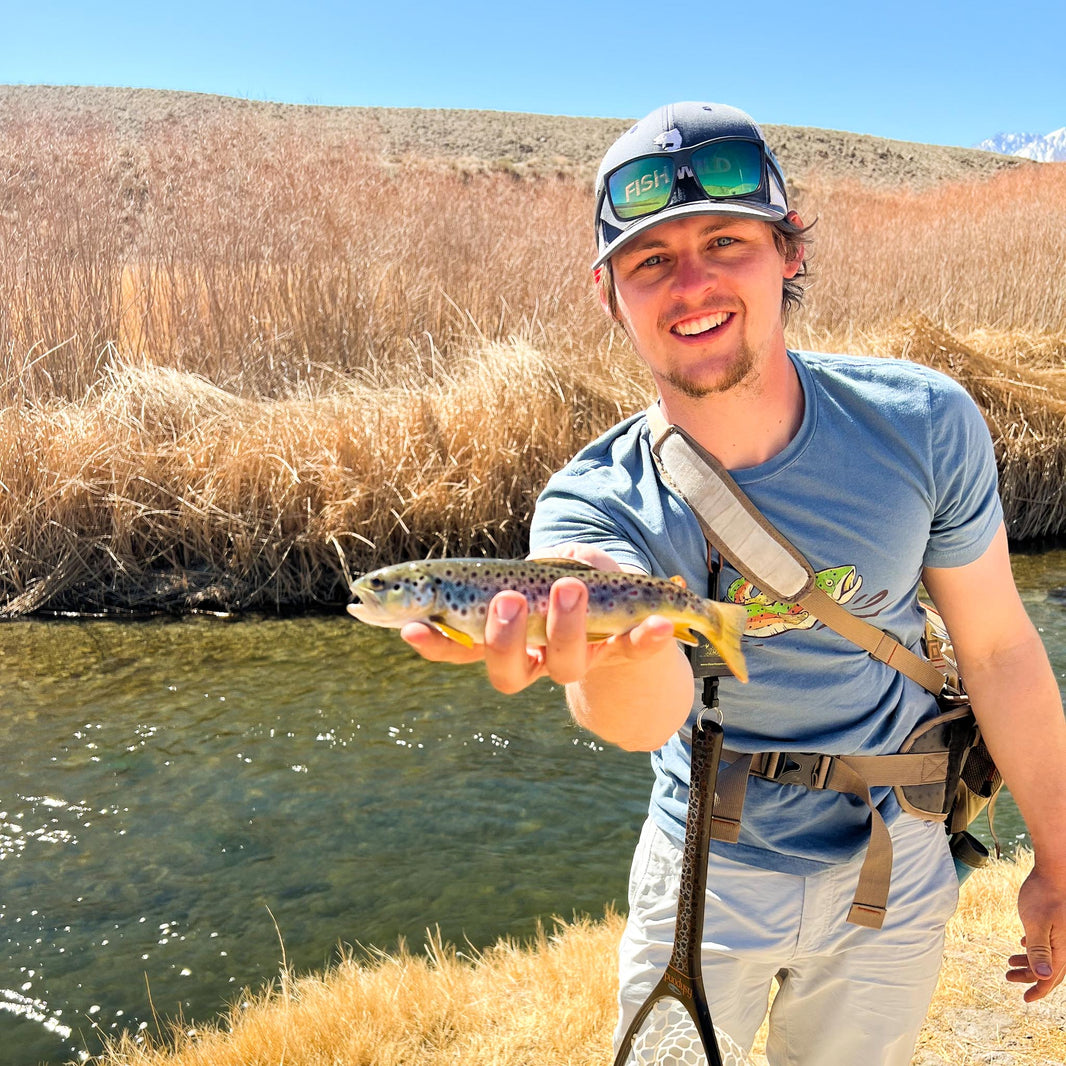 Fish Wild - Homepage